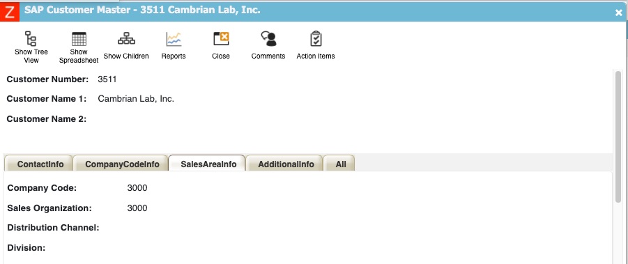Customer Master Data – ZMDM