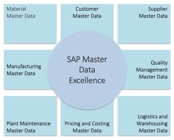 SAP-Master-Data-Excellence – ZMDM